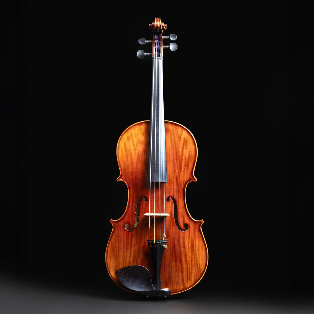 Viola Virtuosa – Casa dos Violinos